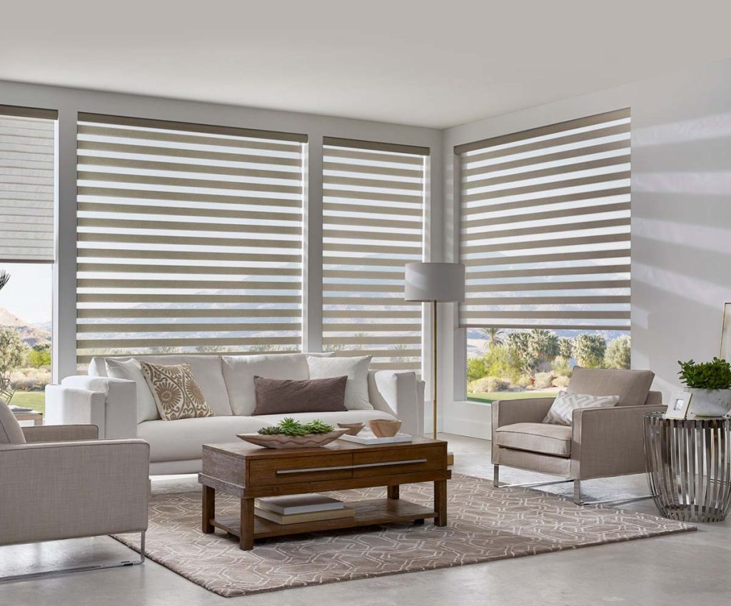Sheer Shades | Zebra Shades | Free Consult | A Modern Window